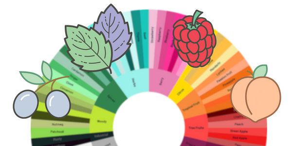 The Flavor Wheel - A Tool for Innovation